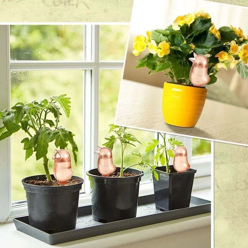 Birdie Type Automatic Flower Waterer – FOFOPO